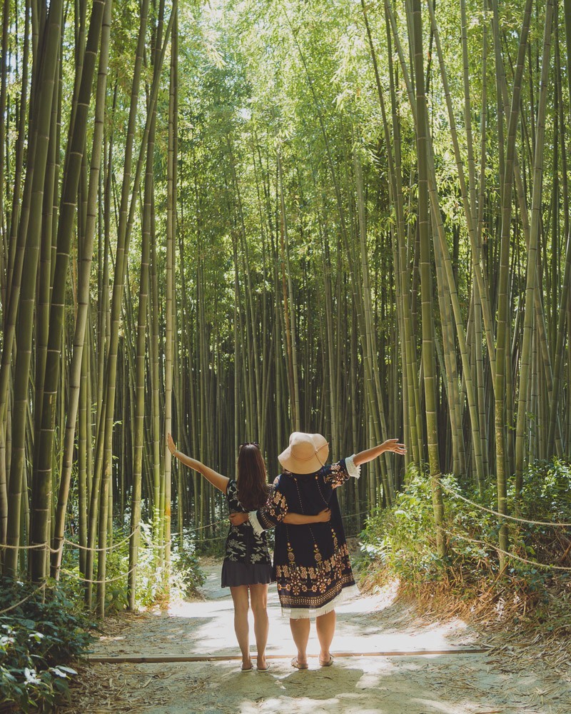 Damyang Travel Guide – There She Goes Again